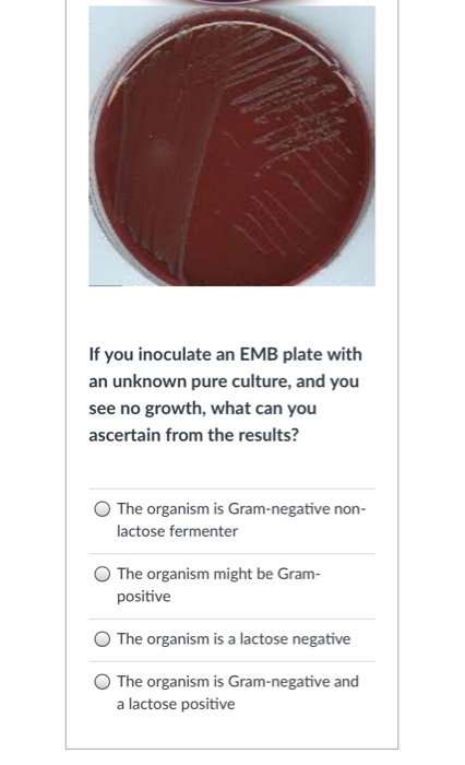Solved If you inoculate an EMB plate with an unknown pure | Chegg.com