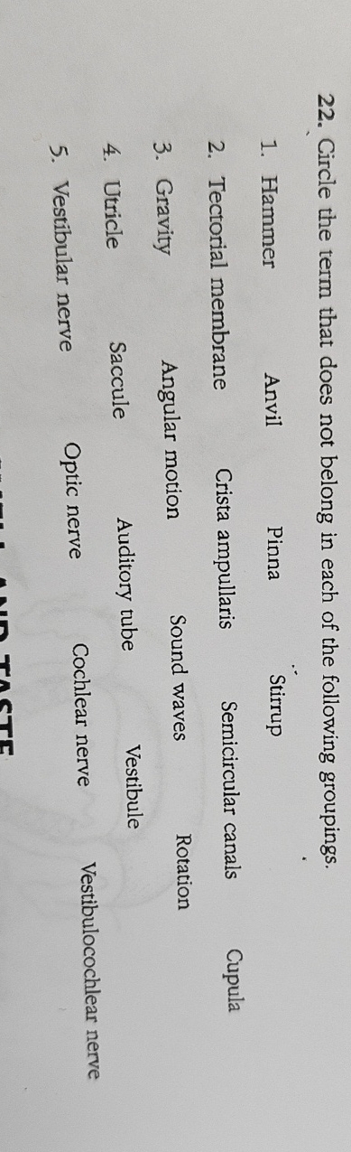 Solved Circle the term that does not belong in each of the | Chegg.com