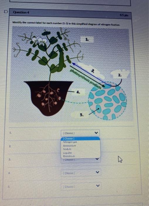 Solved im having trouble with diagram its labeled 1-5 any | Chegg.com