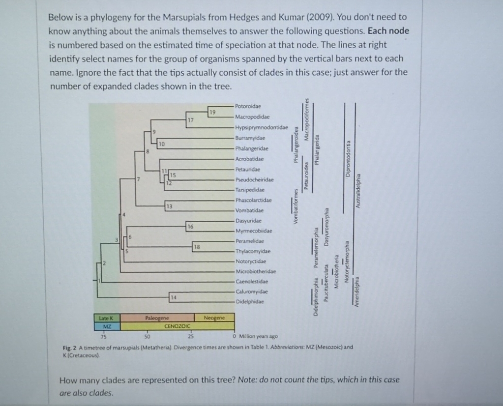 Solved Below is a phylogeny for the Marsupials from Hedges | Chegg.com
