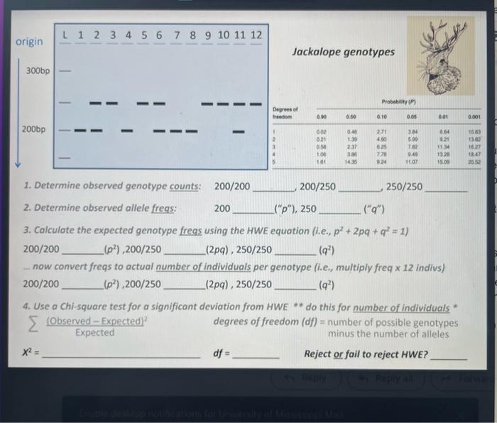 1. Determine observed genotype counts: | Chegg.com