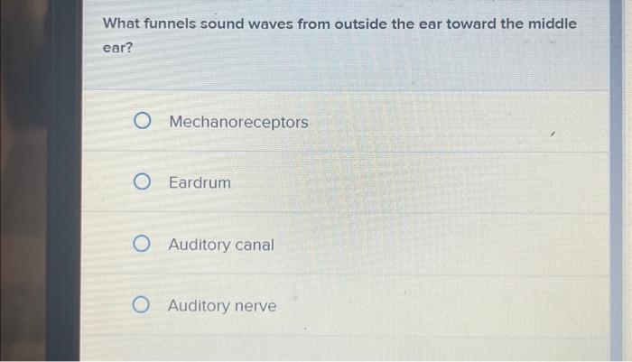 Solved What funnels sound waves from outside the ear toward | Chegg.com