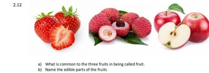 Solved a) What is common to the three fruits in being called | Chegg.com