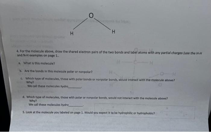 Solved 4. For the molecule above, draw the shared electron | Chegg.com Solved 4. For the molecule above, draw the shared electron | Chegg.com
