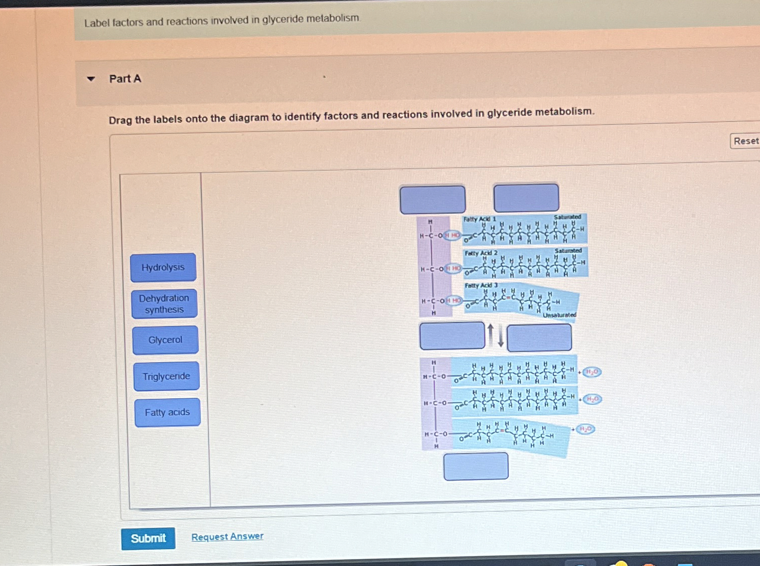 Solved Label factors and reactions involved in glyceride | Chegg.com