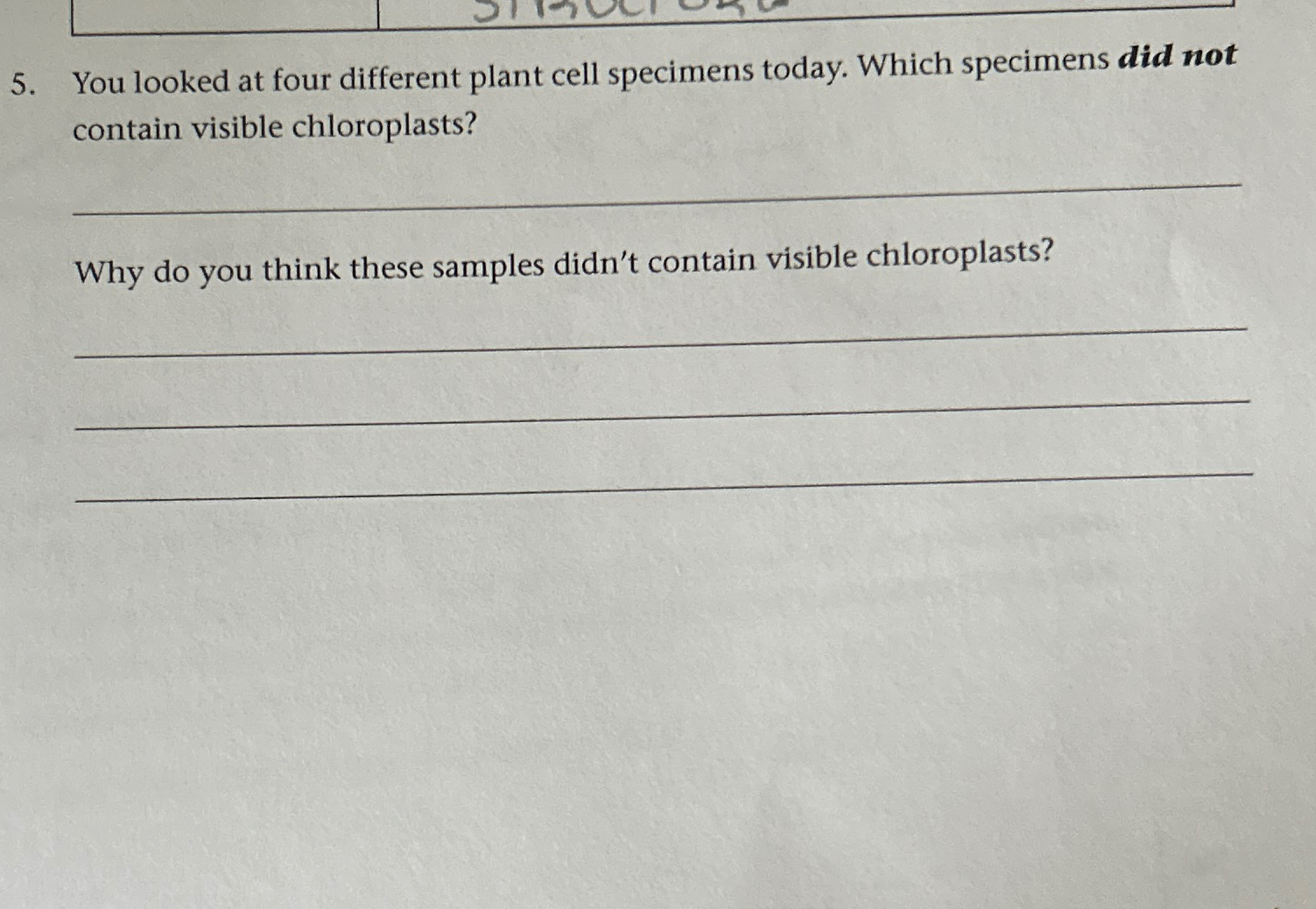Solved You looked at four different plant cell specimens | Chegg.com