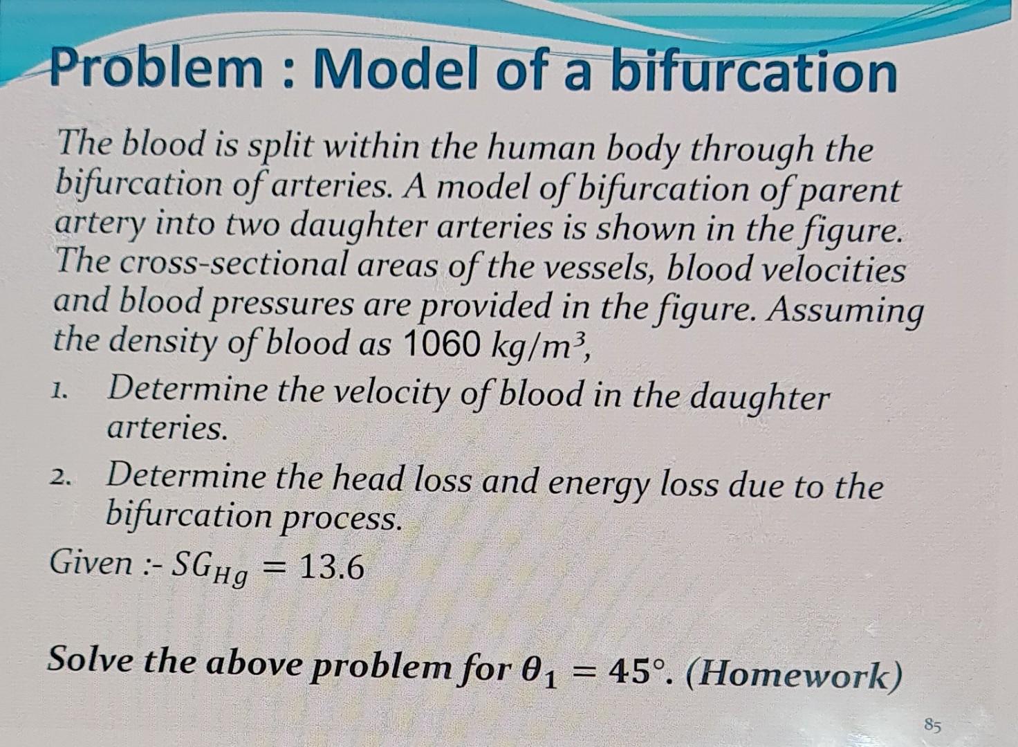 Solved Problem : Model of a bifurcation The blood is split | Chegg.com