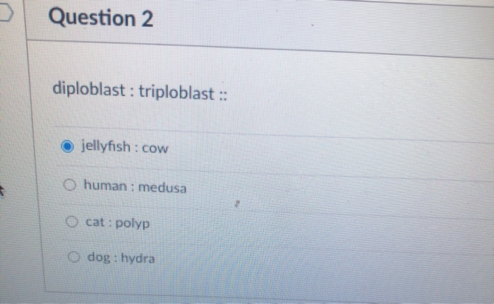 Solved Question 2 diploblast: triploblast :: jellyfish: cow | Chegg.com