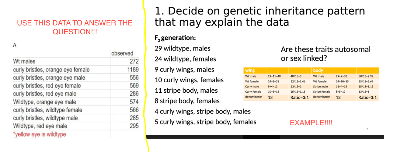 Solved Decide on genetic inheritance patternUSE THIS DATA TO | Chegg.com