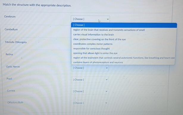 Solved Match the structure with the appropriate | Chegg.com