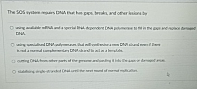Solved The SOS system repairs DNA that has gaps, breaks, and | Chegg.com