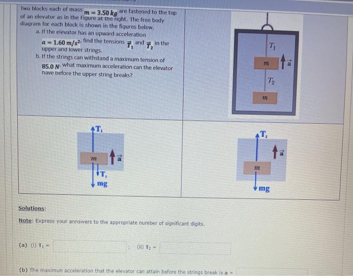 Solved Two blocks each of mass m = 3.50 kg are fastened to | Chegg.com