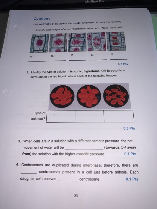 Solved Cytology LAB ACTIVITY 5: Stages of Mitosis. Answer | Chegg.com