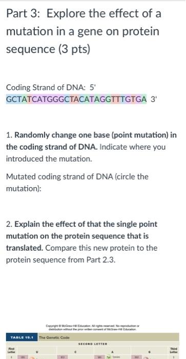 Part 1: Transcribe a small fragment of DNA (3 pts) | Chegg.com