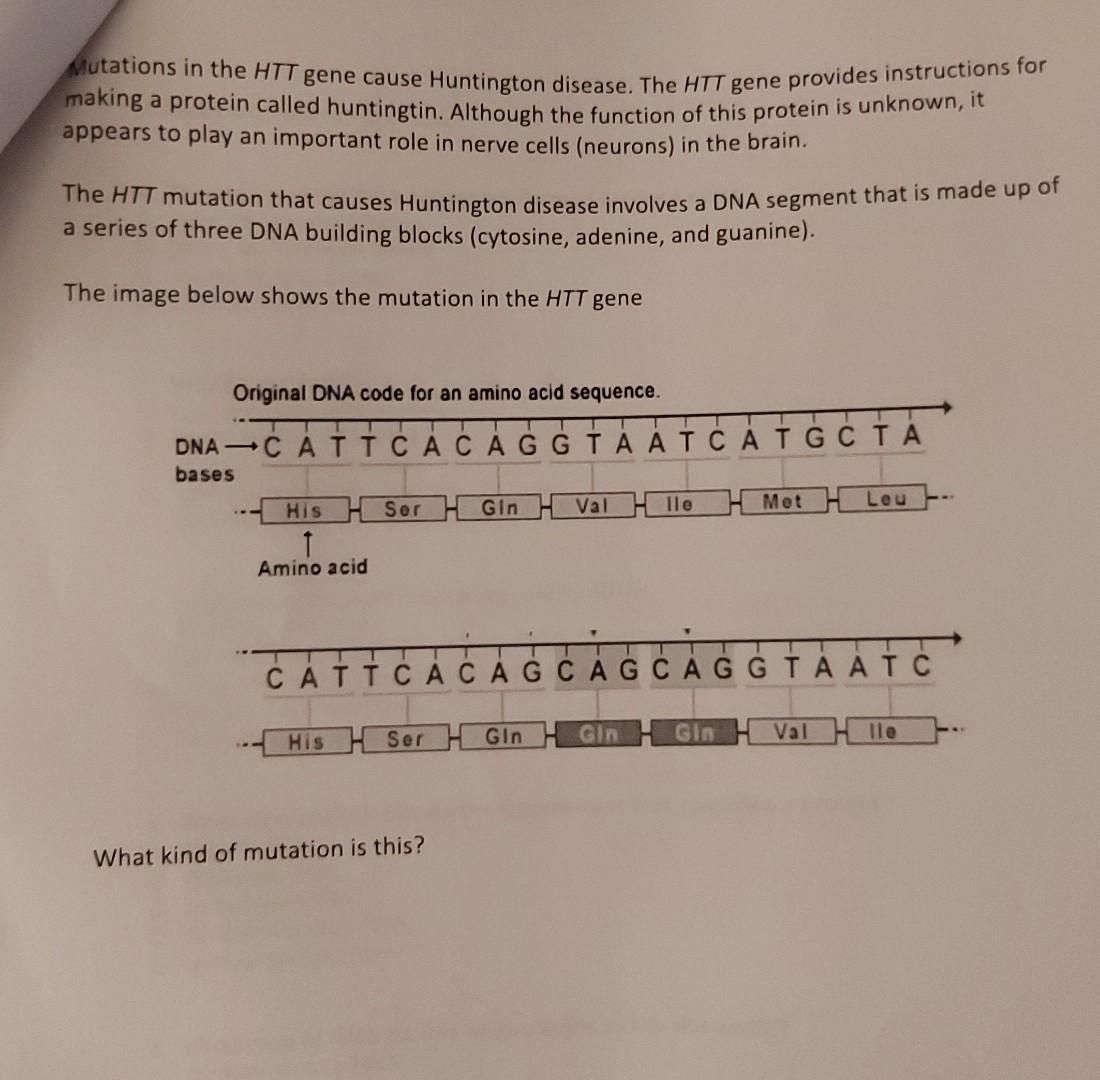 Solved Mutations in the HTT gene cause Huntington disease. | Chegg.com