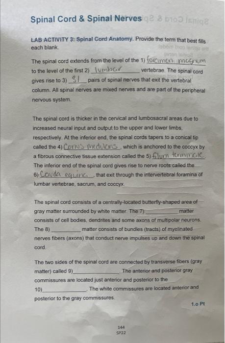 Solved Spinal Cord \& Spinal Nerves LAB ACTIVITY 3: Spinal | Chegg.com