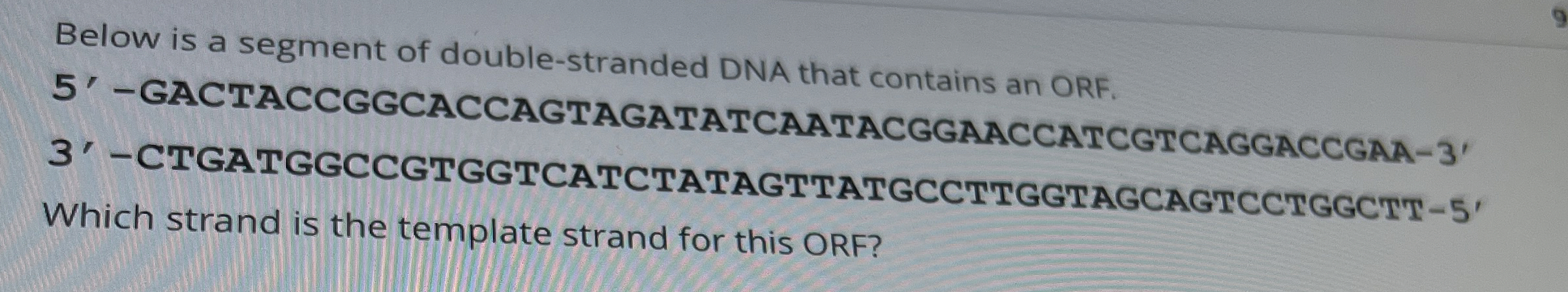 Solved Below is a segment of double-stranded DNA that | Chegg.com