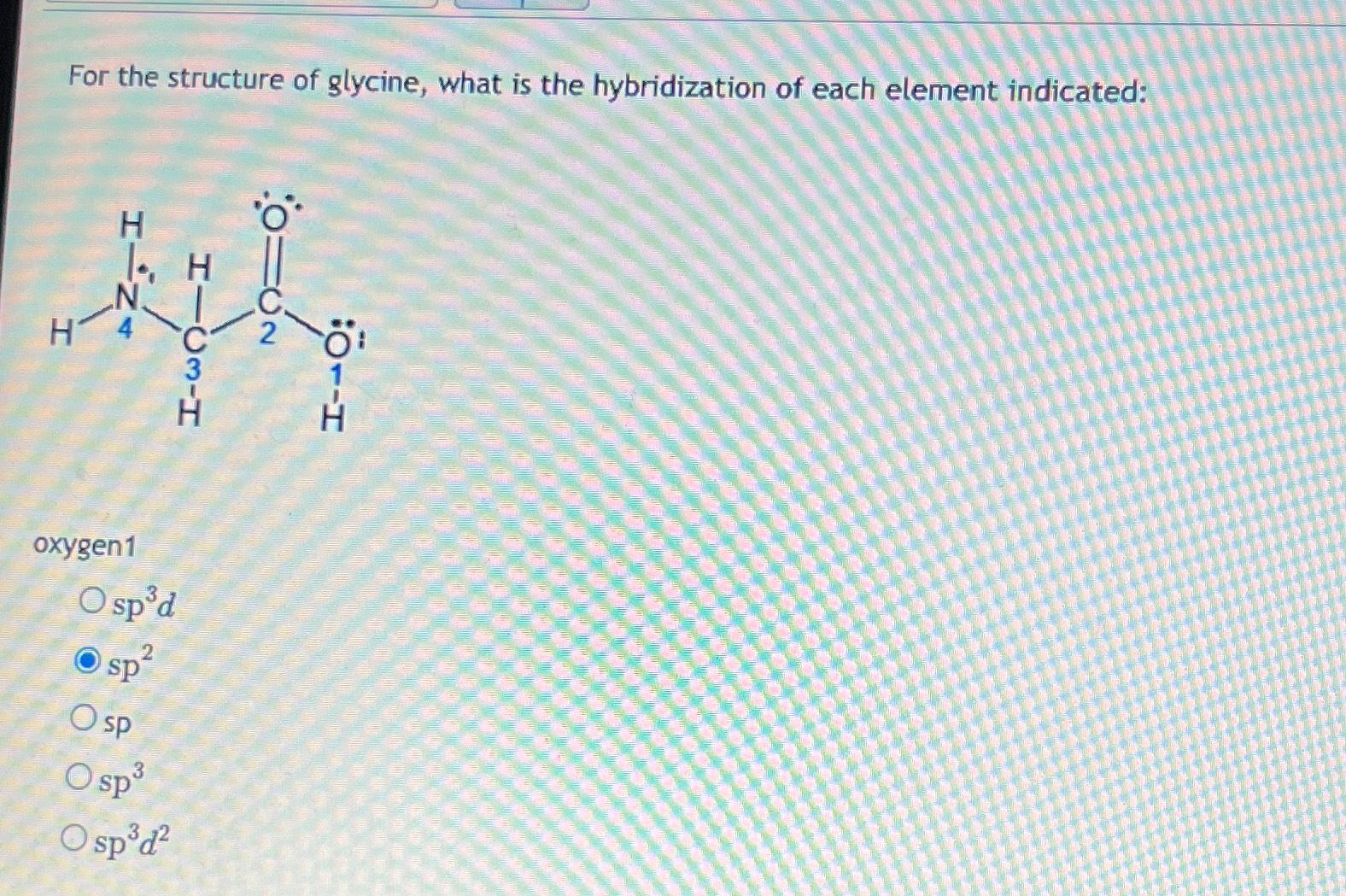 Solved For the structure of glycine, what is the | Chegg.com