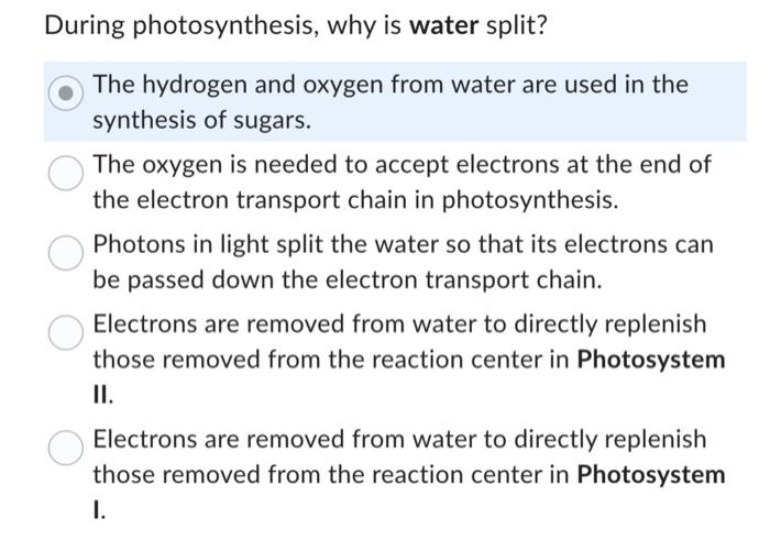 Solved During photosynthesis, why is water split? The | Chegg.com