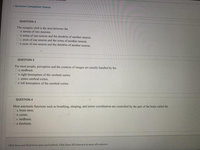 Solved Question Completion Status: QUESTION 2 The synaptic | Chegg.com