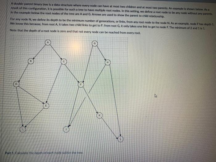 Solved A double-parent binary tree is a data structure where | Chegg.com
