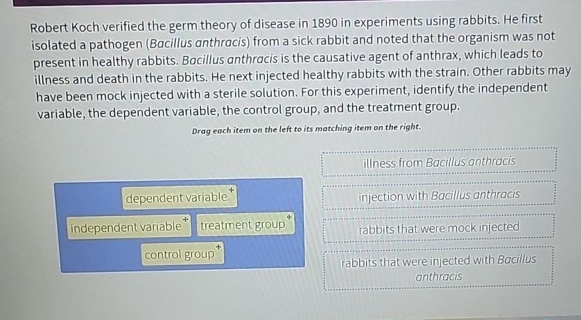 Solved Robert Koch verified the germ theory of disease in | Chegg.com