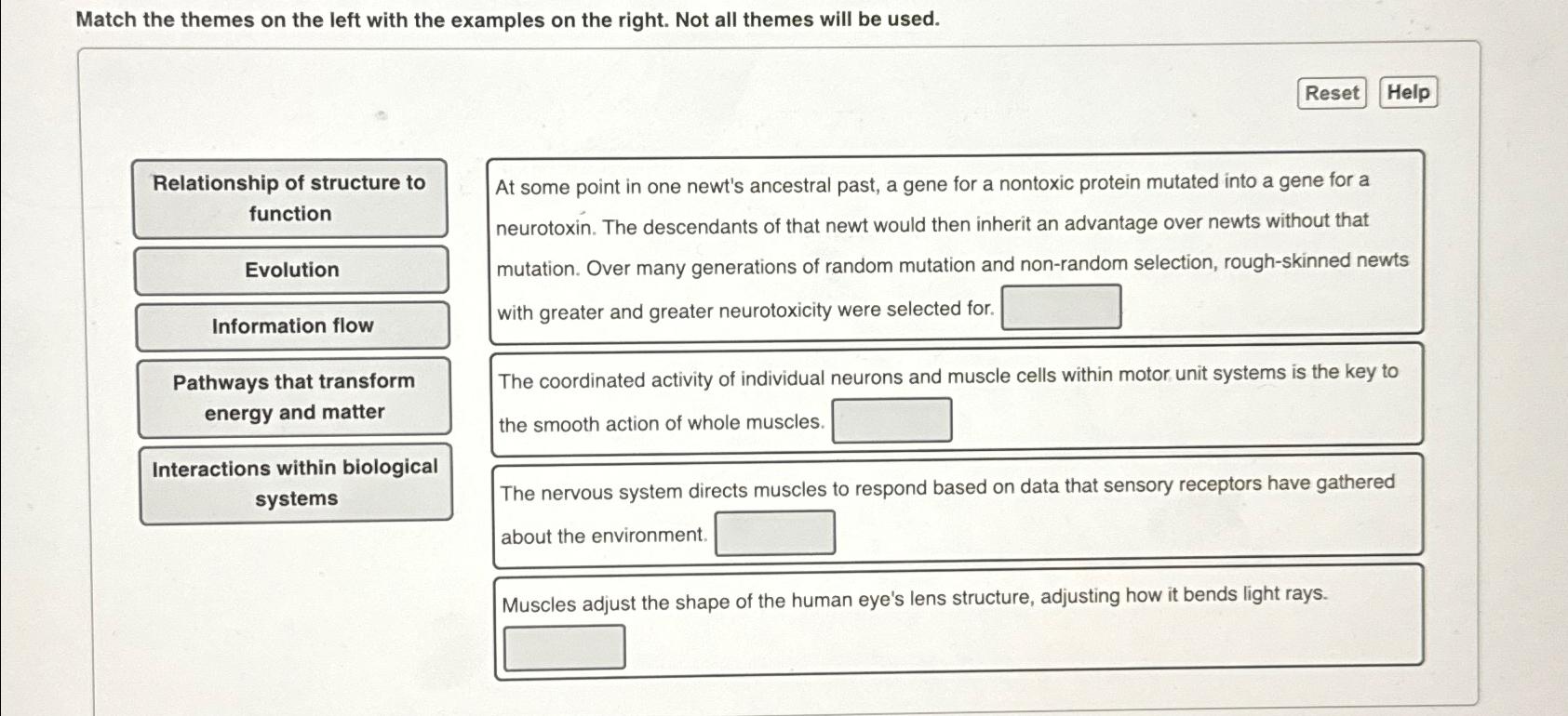 Solved Match the themes on the left with the examples on the | Chegg.com