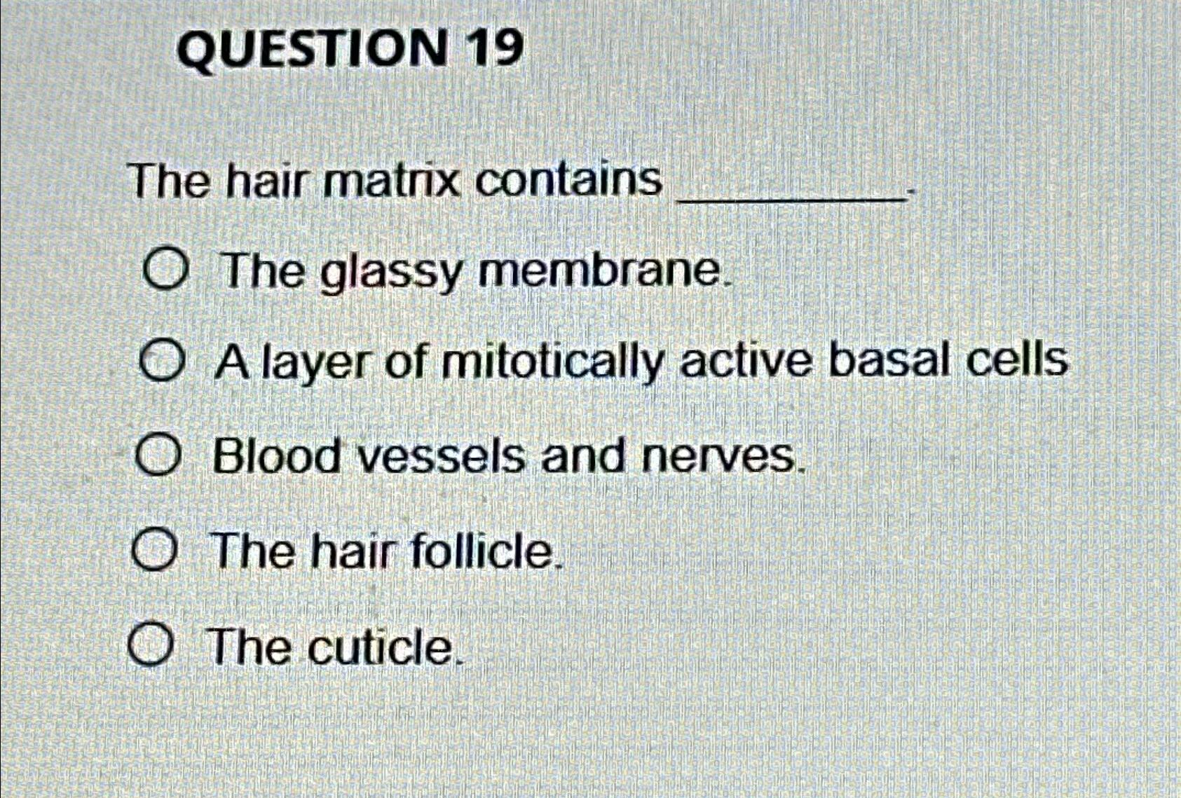Solved QUESTION 19The hair matrix containsThe glassy | Chegg.com