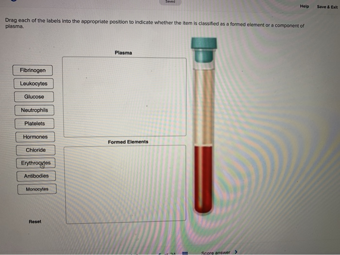 Solved Help Save & Exit Drag each of the labels Into the | Chegg.com