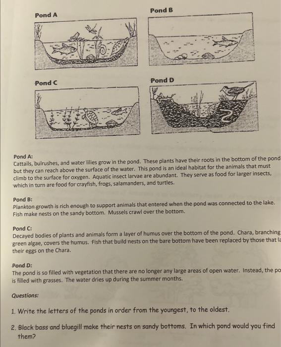 Solved Ecosystems constantly change. A tree falling in a | Chegg.com
