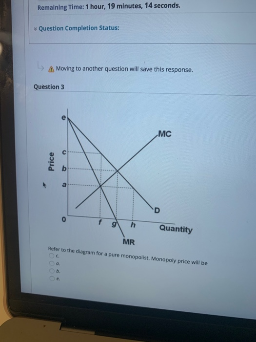 Solved Remaining Time: 1 hour, 19 minutes, 14 seconds. | Chegg.com