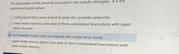 The decussation of the pyramids is located in the | Chegg.com