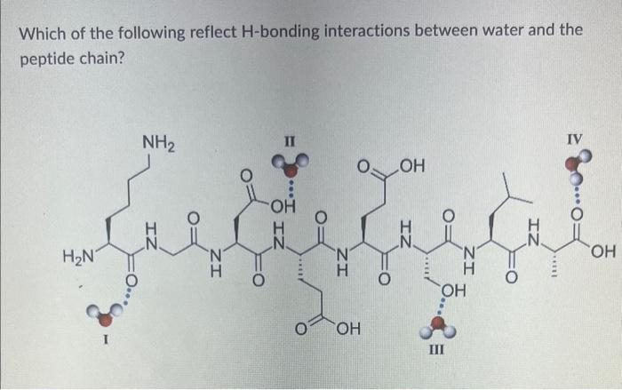 Solved Which of the following reflect H-bonding interactions | Chegg.com