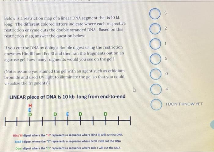 Solved 3 Below is a restriction map of a linear DNA segment | Chegg.com