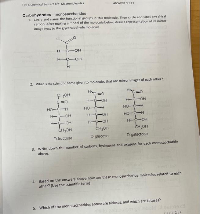 Carbohydrates - monosaccharides 1. Circle and name | Chegg.com