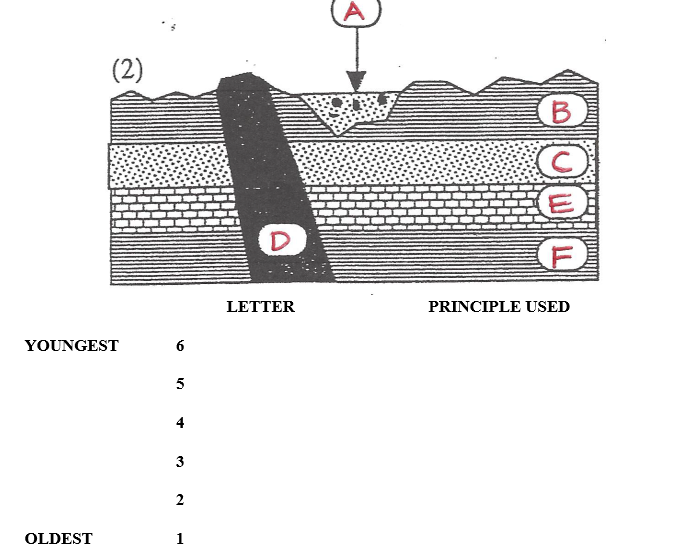 Solved Using the image: list the letters from youngest to | Chegg.com