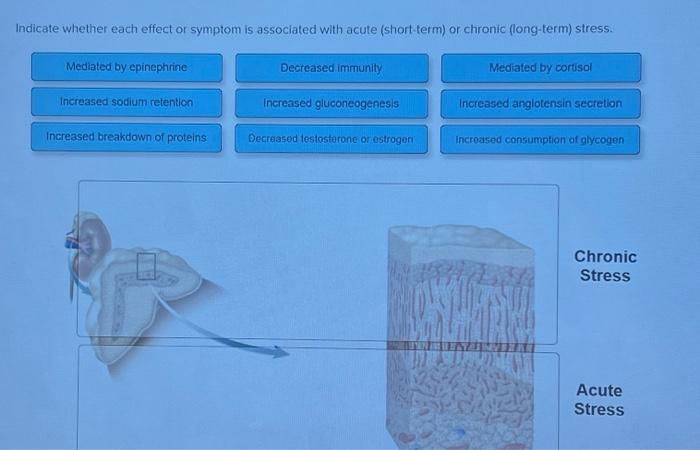 Solved Indicate whether each effect or symptom is associated | Chegg.com