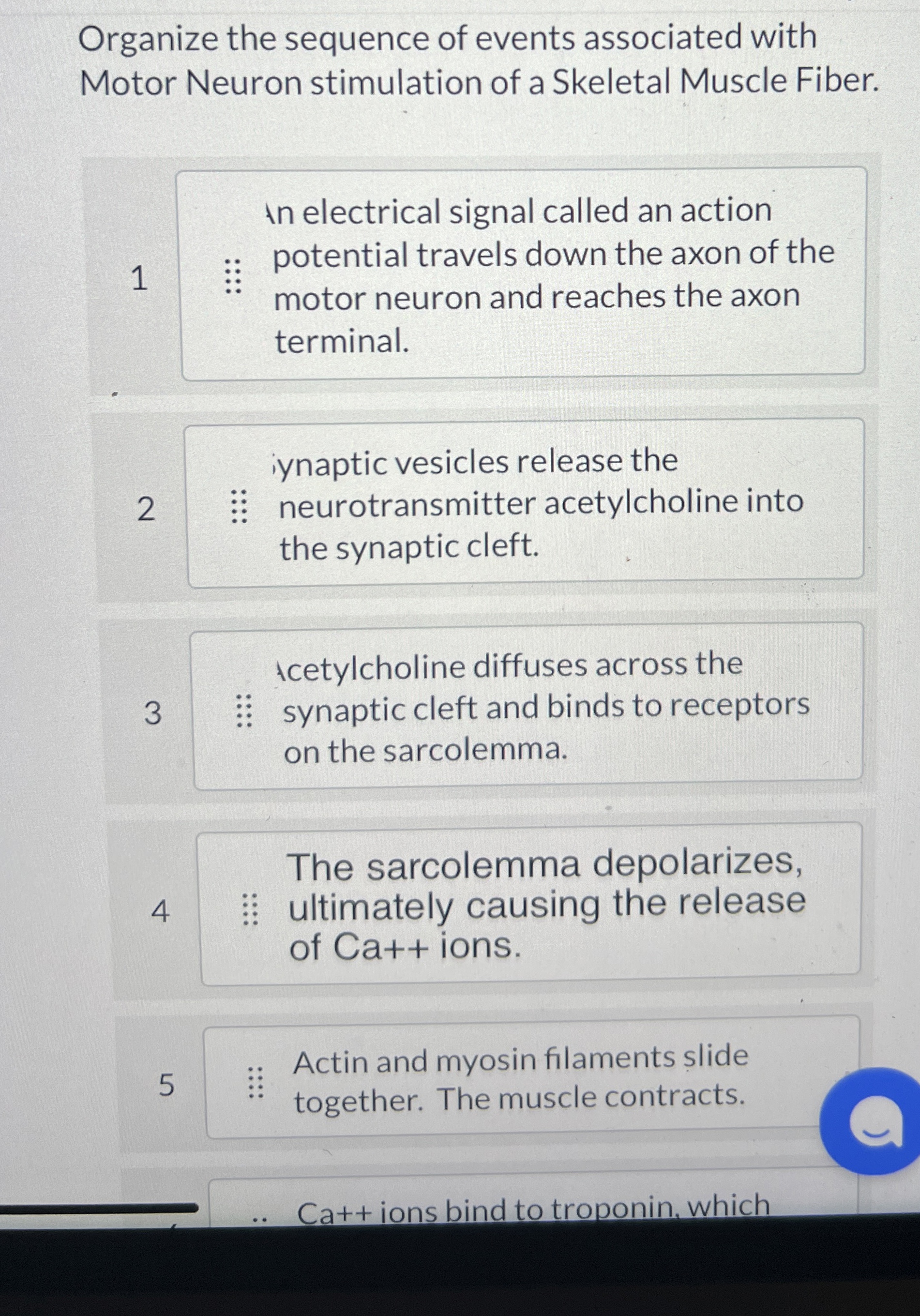 Solved Organize the sequence of events associated with Motor | Chegg.com