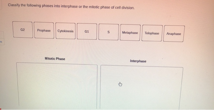 Solved Classify the following phases into interphase or the | Chegg.com