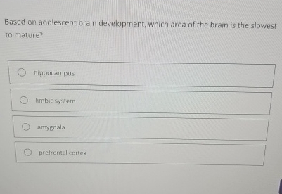 Solved Based on adolescent brain development, which area of | Chegg.com