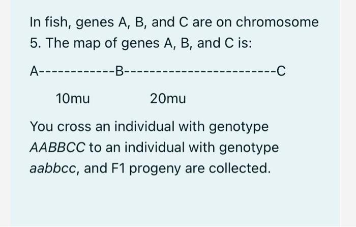 Solved In fish, genes A, B, and C are on chromosome 5. The | Chegg.com
