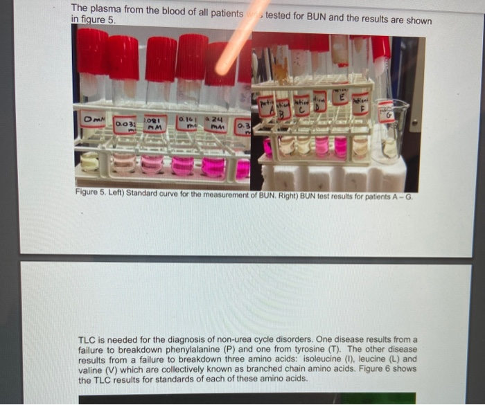 Goal of the project Your goal is this project will be | Chegg.com