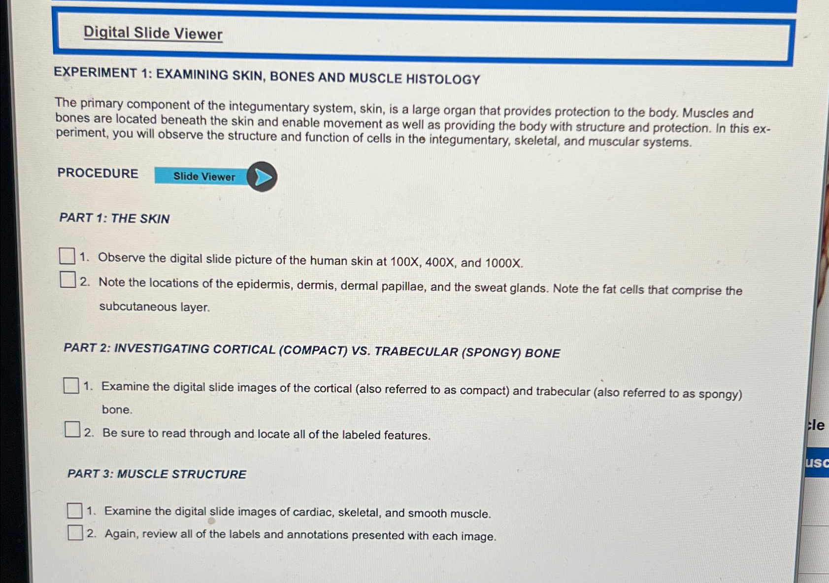 Solved Digital Slide ViewerEXPERIMENT 1: EXAMINING SKIN, | Chegg.com