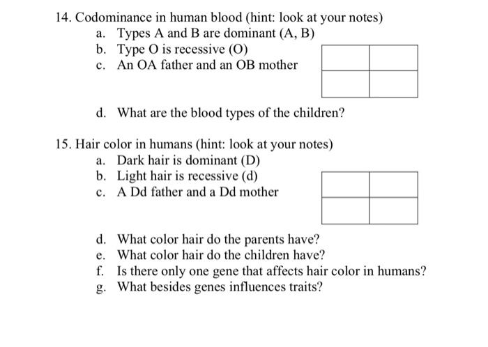 Solved 14. Codominance in human blood (hint: look at your | Chegg.com