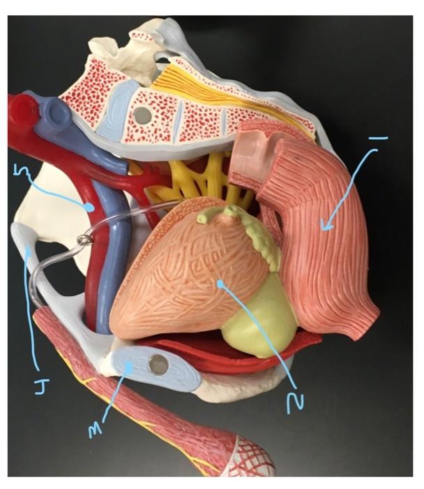 Solved part a part b plz label both parts | Chegg.com