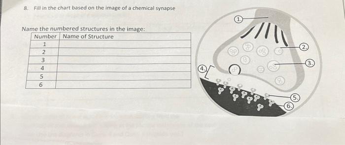 Solved fill in the chart based on the image of a chemical | Chegg.com
