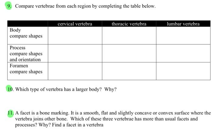 Solved 9. Compare vertebrae from each region by completing | Chegg.com