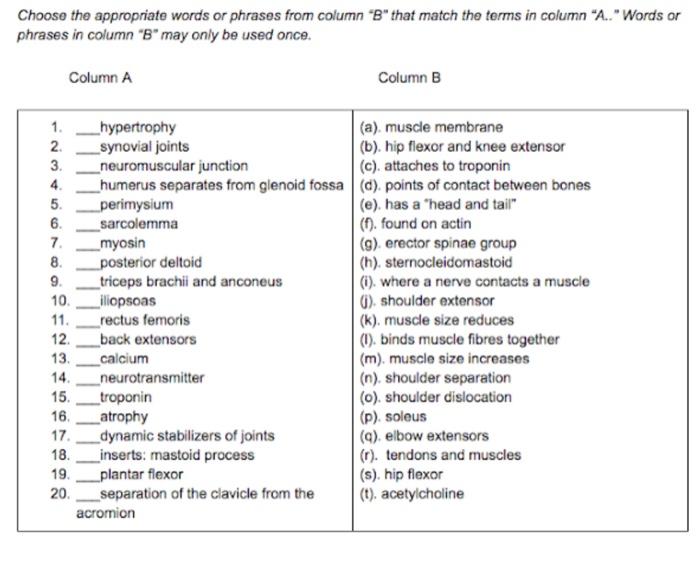 Solved Choose the appropriate words or phrases from column | Chegg.com
