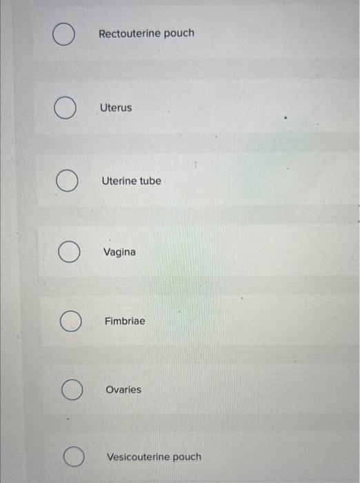 Solved Which structure is highlighted and indicated by the | Chegg.com