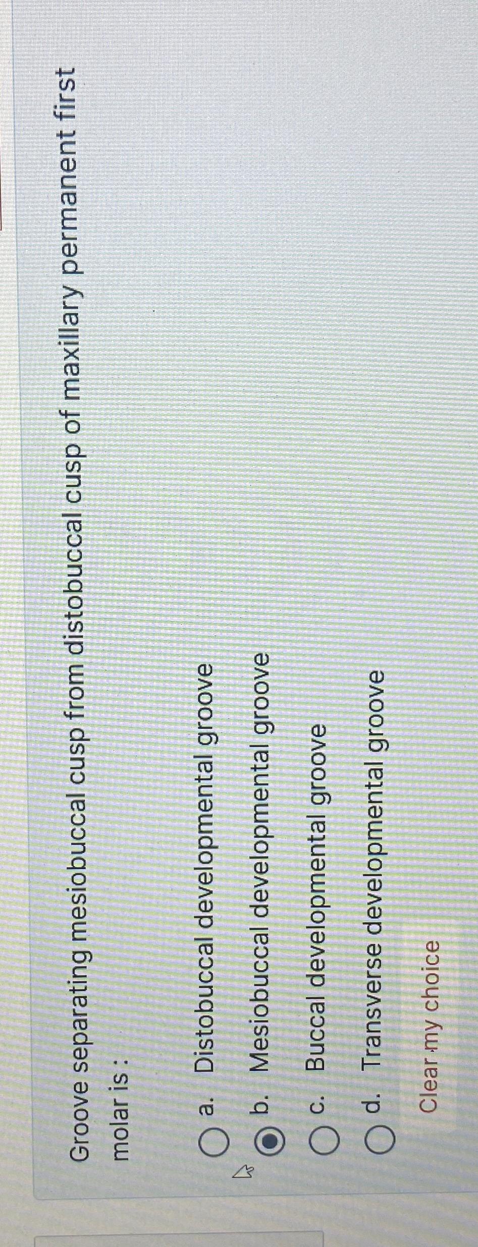 Solved Groove separating mesiobuccal cusp from distobuccal | Chegg.com